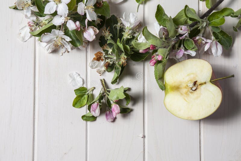 Apple bloom stock photo. Image of natural, fresh, wood - 58859760