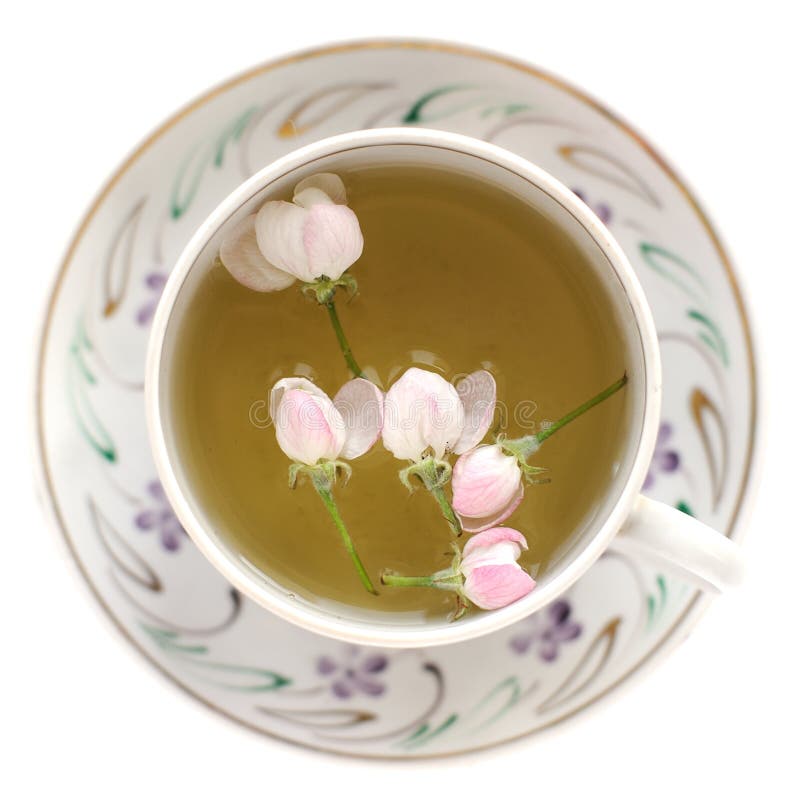 Apple Blossom Tea in White Cup Isolated Stock Photo - Image of ...