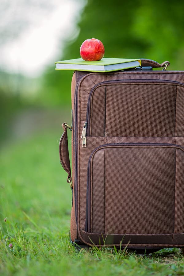 Apple with a book suitcase stock photo. Image of healthy - 55059604