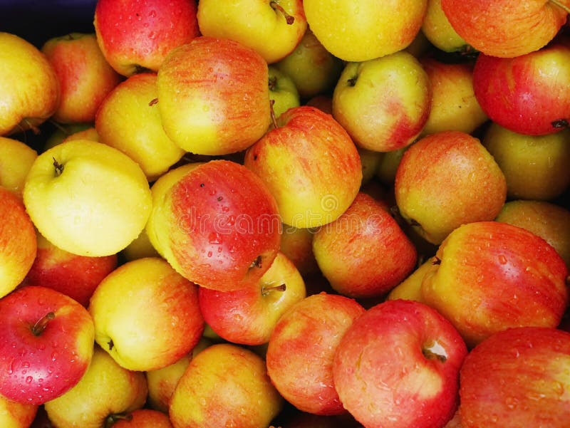 Apple box market stock photo. Image of apple, diet, delicious - 42337498