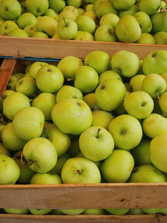 Apple box market stock photo. Image of heap, full, fruit - 61466784
