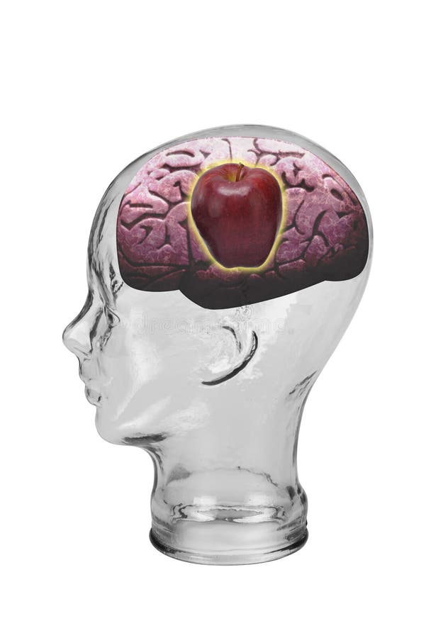 Profile Of A Human Head With Brain, 3d Illustration Stock Photo - Image ...