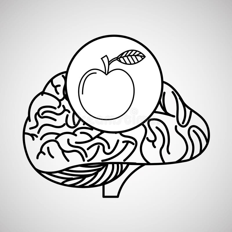 Apple Brain School Knowledge Stock Vector - Illustration of research ...