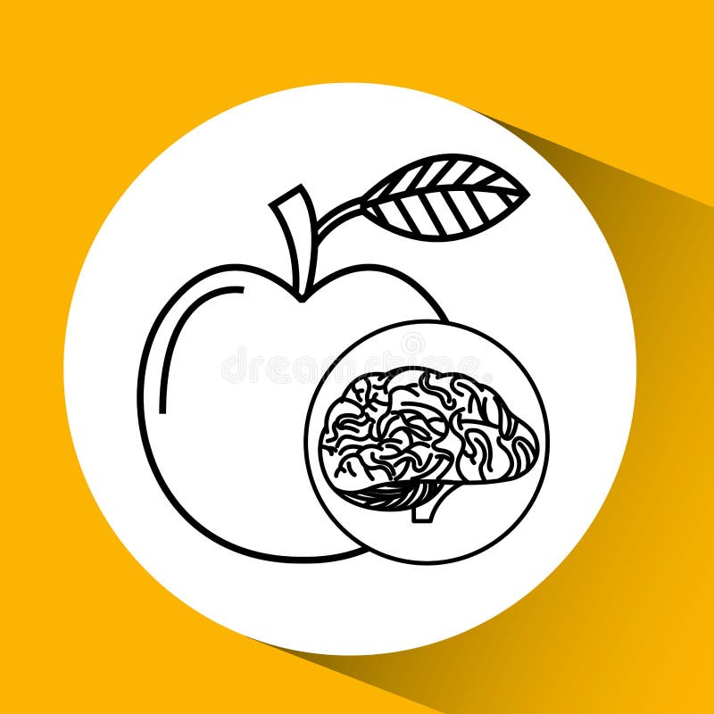 Apple Brain School Knowledge Stock Vector - Illustration of research ...