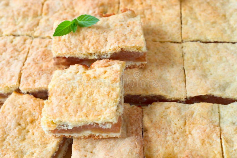 Apple cake stock image. Image of sliced, shortcake, fruit - 199113023