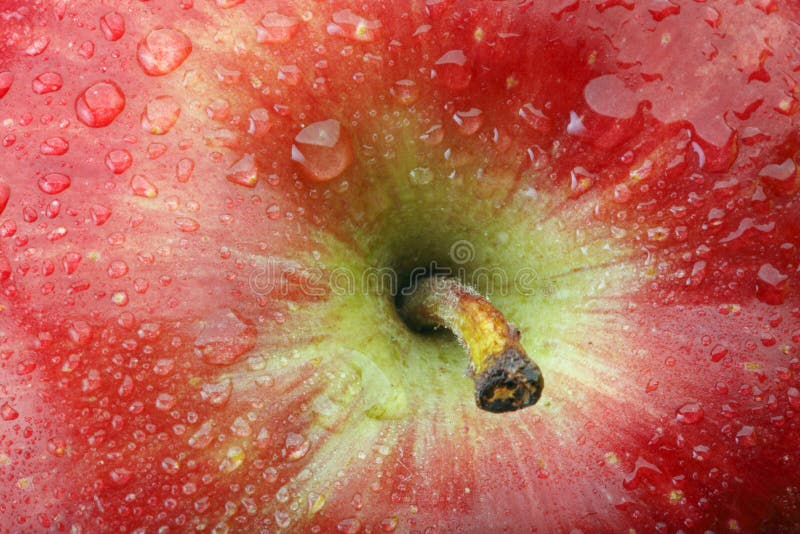 Apple Close up stock image. Image of fruit, close, purity - 14369065
