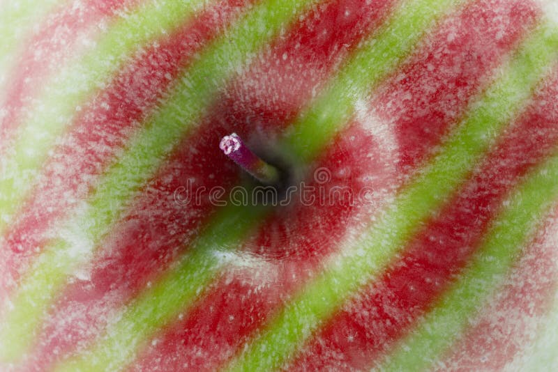 Apple close up stock photo. Image of diet, plant, background - 28485274
