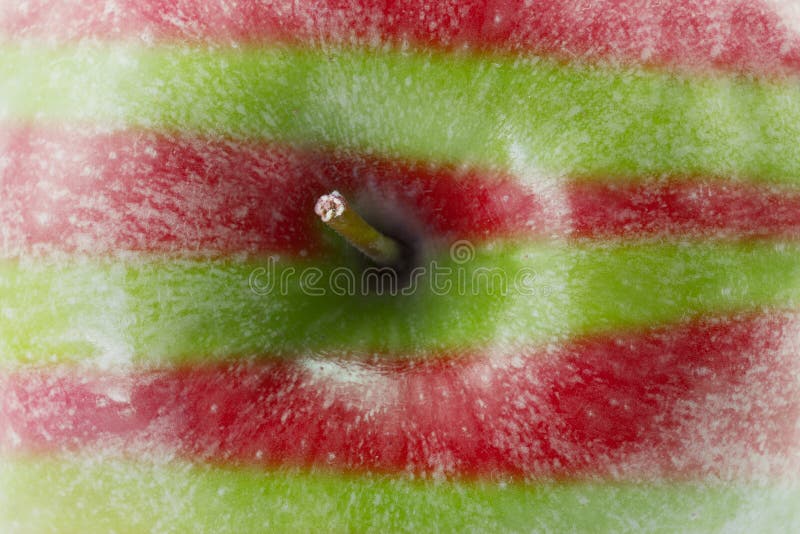 Apple close up stock photo. Image of juicy, green, natural - 28485312