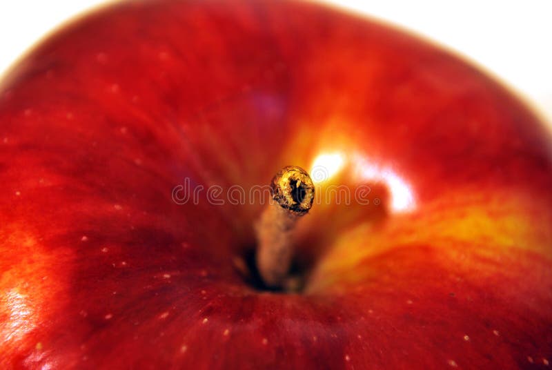 Apple Close Up on Top stock photo. Image of nutrition - 12625136