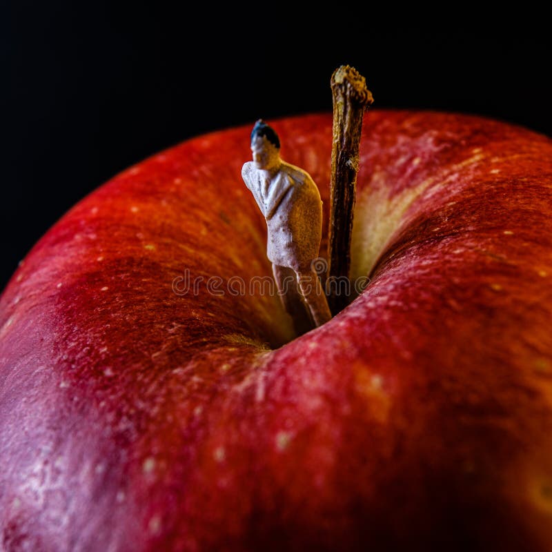 Apple close-up stock photo. Image of natural, black - 172681016