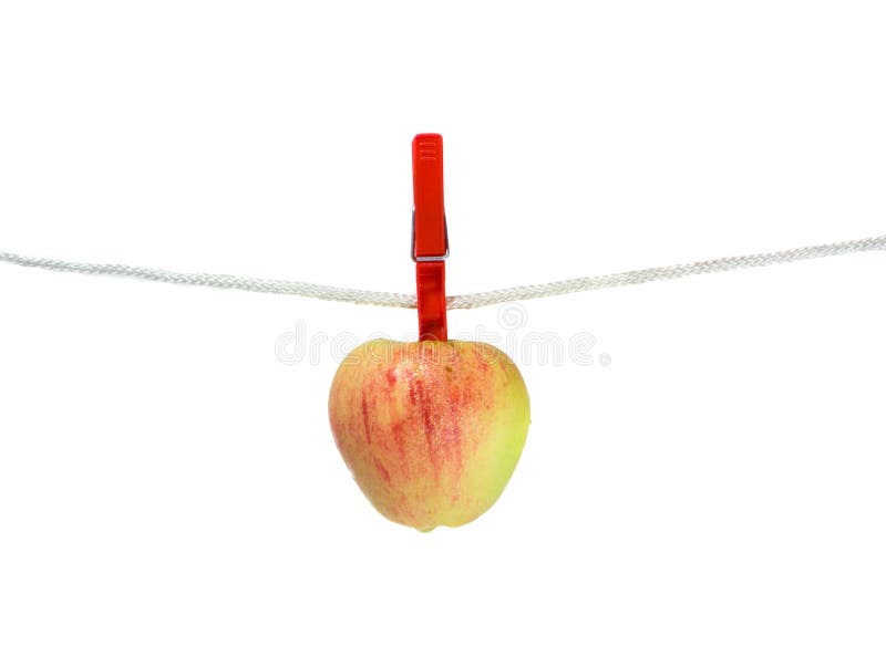 Apple on clothes line stock photo. Image of holding, fruit - 3692998