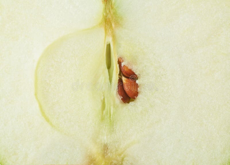 Apple Core Close Up Texture Stock Photos - Free & Royalty-Free Stock ...