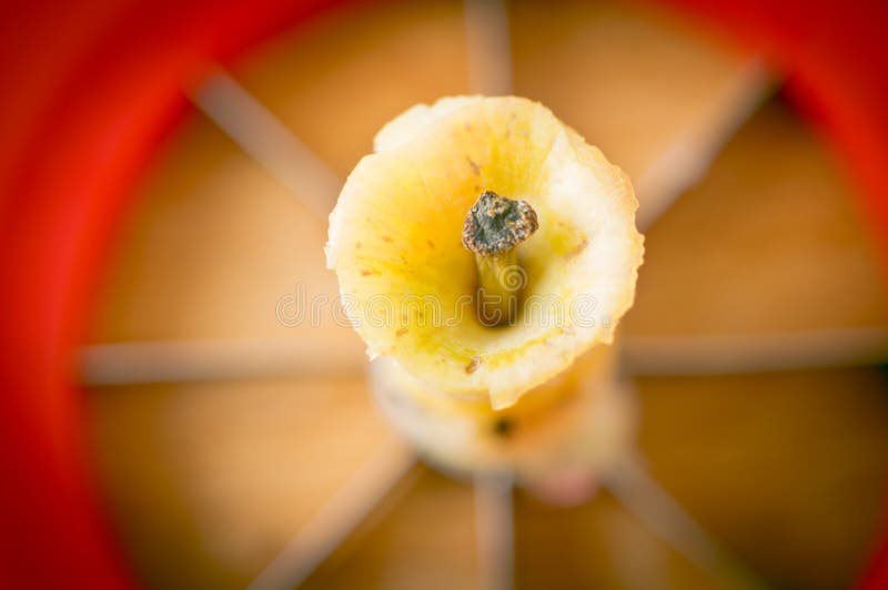 Apple core stock image. Image of corer, portion, tools - 50164273