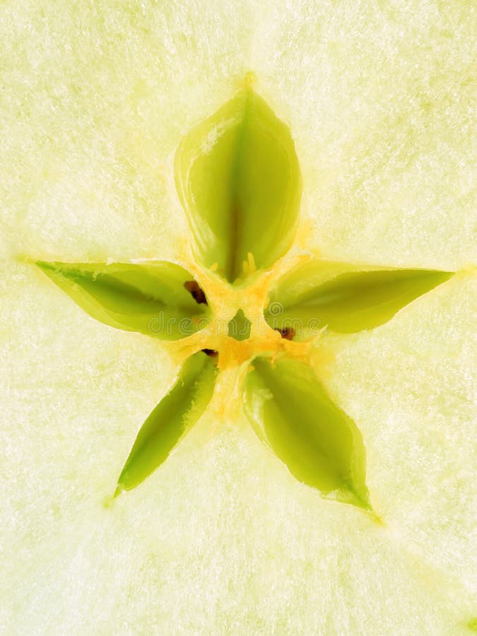 Apple Core Close Up Texture Stock Photos - Free & Royalty-Free Stock ...