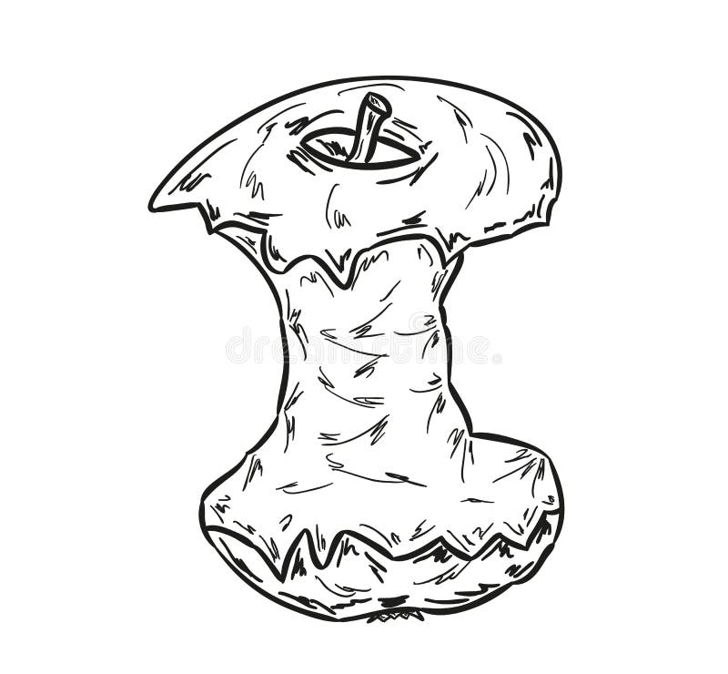 Apple and Apple Core Sketch Stock Vector - Illustration of diet ...