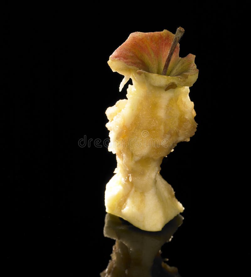 Apple core stock photo. Image of apple, biology, plant - 34613654