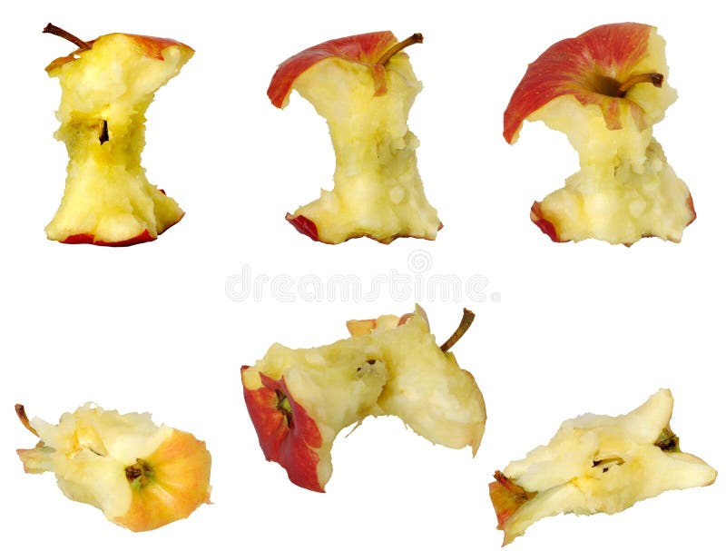 Apple cores stock photo. Image of healthy, cross, food - 28176962