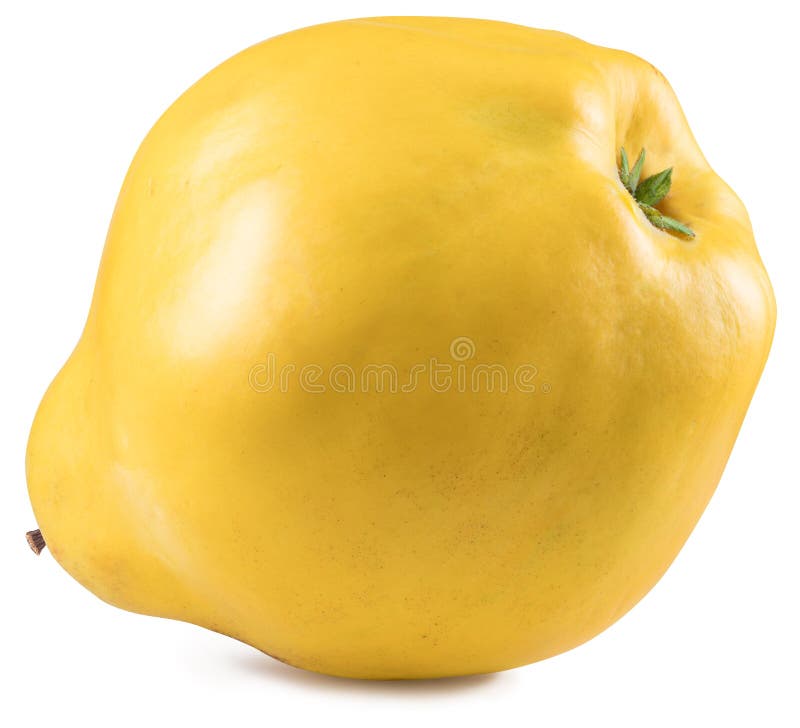 Apple-cotogna E Pezzo Di Cotogna L'archivio Contiene Il Percorso Di ...