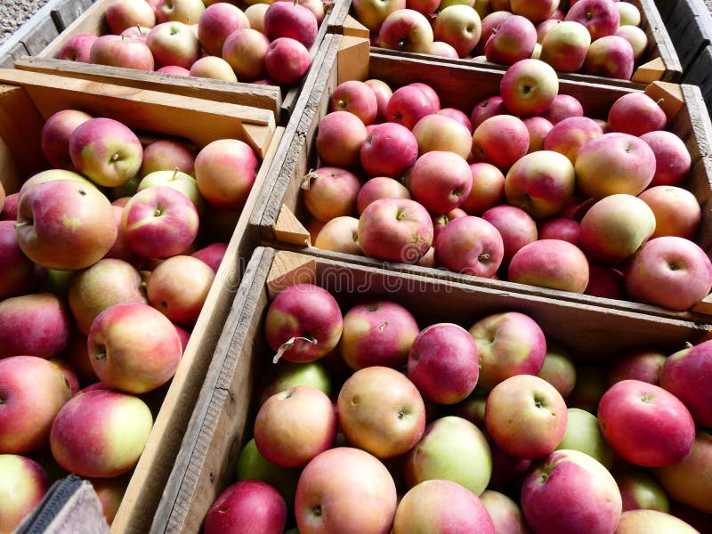 Bigger Crate Stock Photos - Free & Royalty-Free Stock Photos from ...