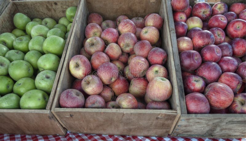 Apple Crates stock image. Image of orchard, apples, fruit - 17245027