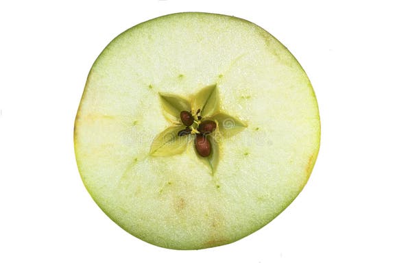 2,503 Cross Section Apple Stock Photos - Free & Royalty-Free Stock ...