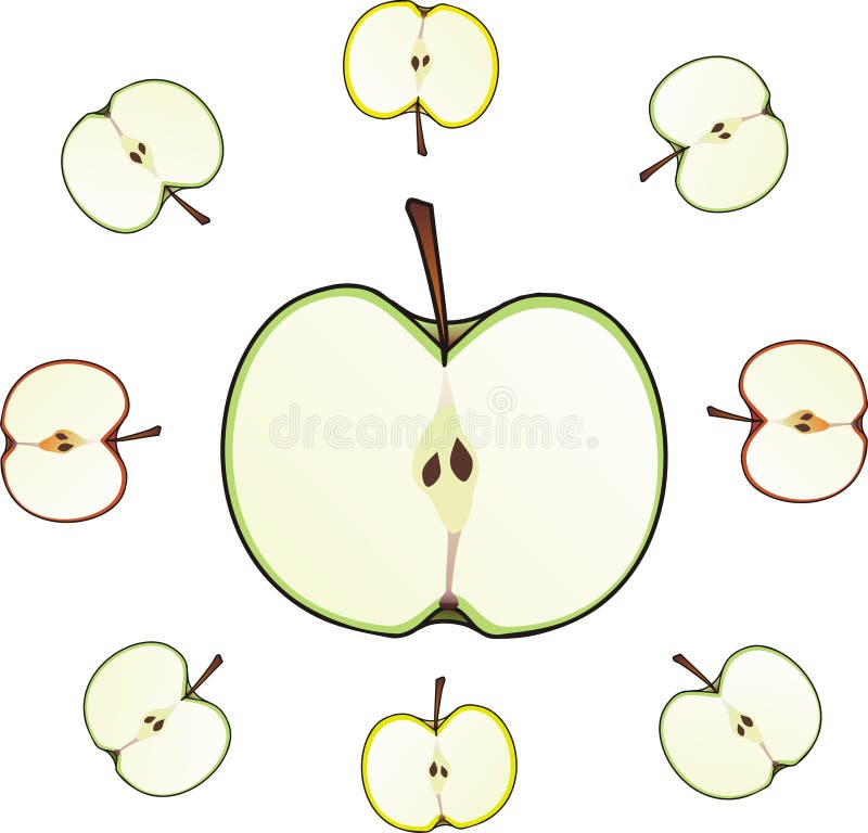 Cuted Apples Stock Illustrations – 1 Cuted Apples Stock Illustrations ...
