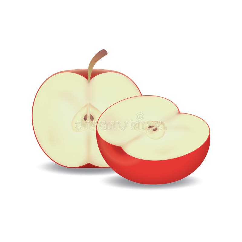Apple Cut into Half. Vector Illustration Decorative Design Stock Vector ...
