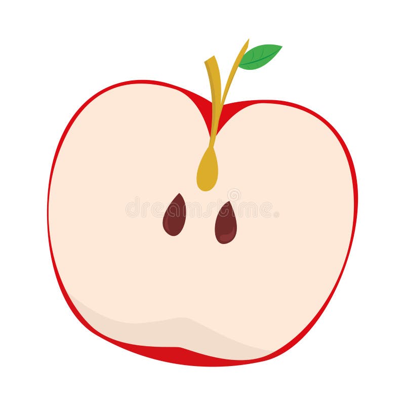 Apple cut icon stock vector. Illustration of delicious - 191816041