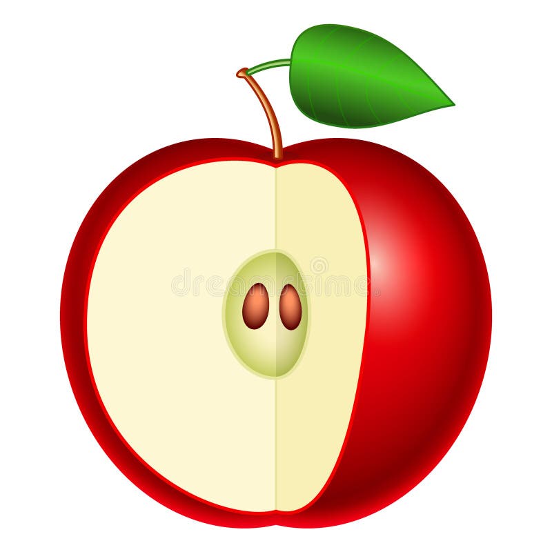 Apple cut illustration stock vector. Illustration of design - 271138137