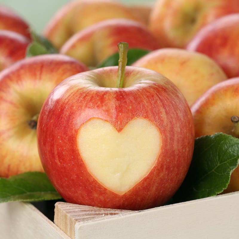 Fruta del amor foto de archivo. Imagen de vitamina, anaranjado - 33470666