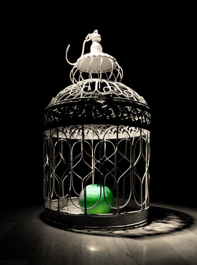 Apple dans une cage photo stock. Image du fruits, noir - 36380036