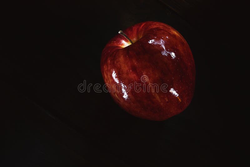 Apple in the dark stock image. Image of style, dusk - 208849125