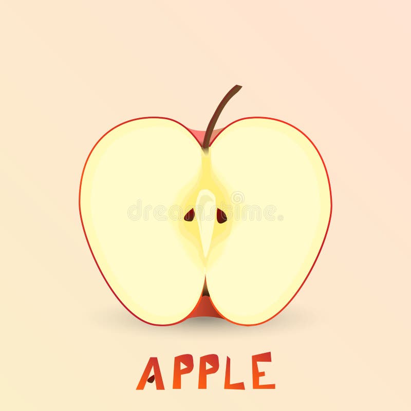 Apple design element stock illustration. Illustration of ossicle - 90282286