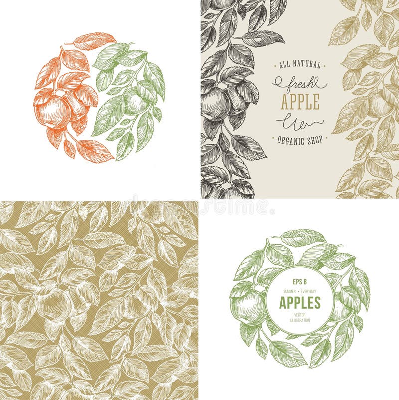 Apple Design Template Collection. Banners, Pattern, Composition. Vector ...