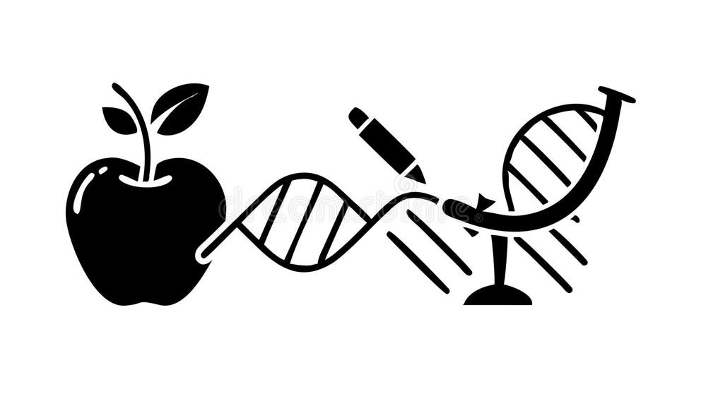 Apple with DNA Structure, Genetic Modification, Healthy Science, Bio ...