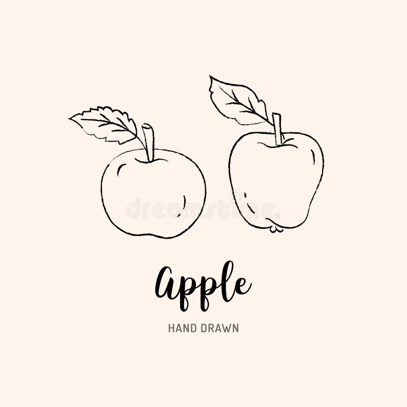 Apple Drawing Vector Hand Drawn Apples. Sketch of Apples on White ...