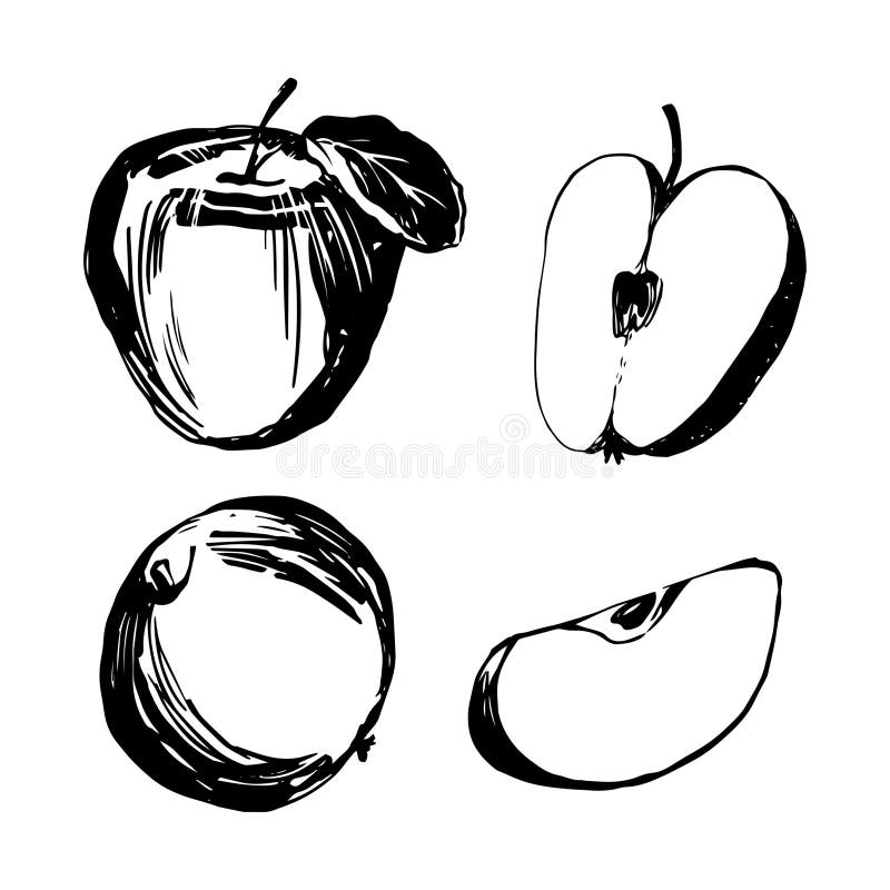Apple Drawing, Vector Sketch Illustration, Set of Apples, Black and ...