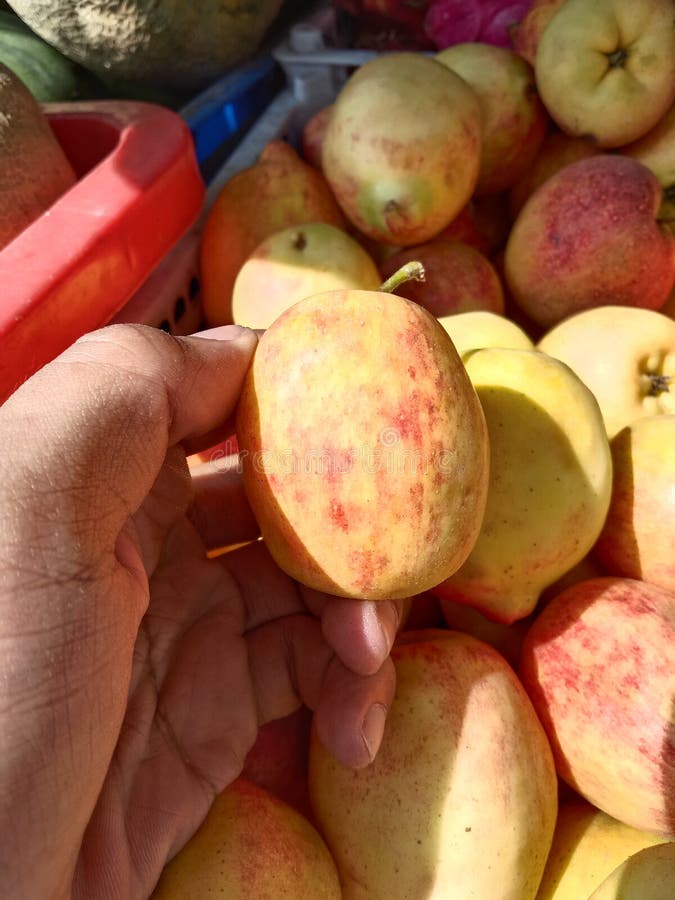 Apple for eat delicious stock image. Image of plant - 225895365