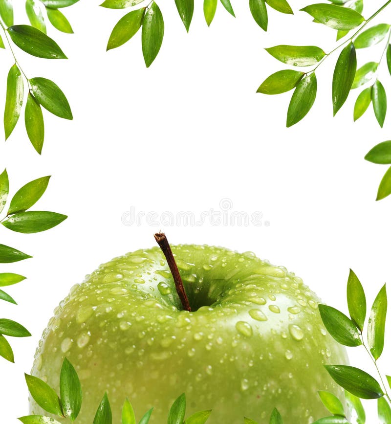 Apple-Feld stockbild. Bild von nähren, wachstum, saft - 7791129