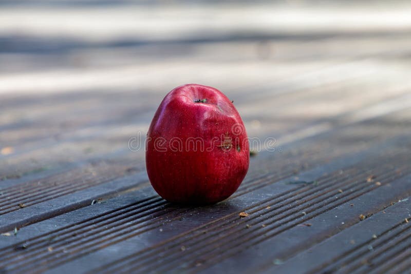 Apple on the floor stock image. Image of apple, industry - 129204195