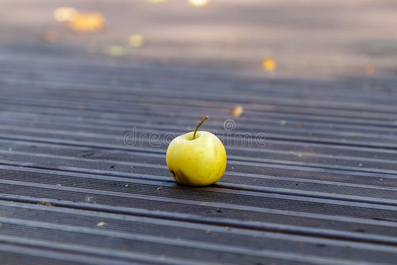 Apple on the floor stock photo. Image of fruity, harvested - 129204710
