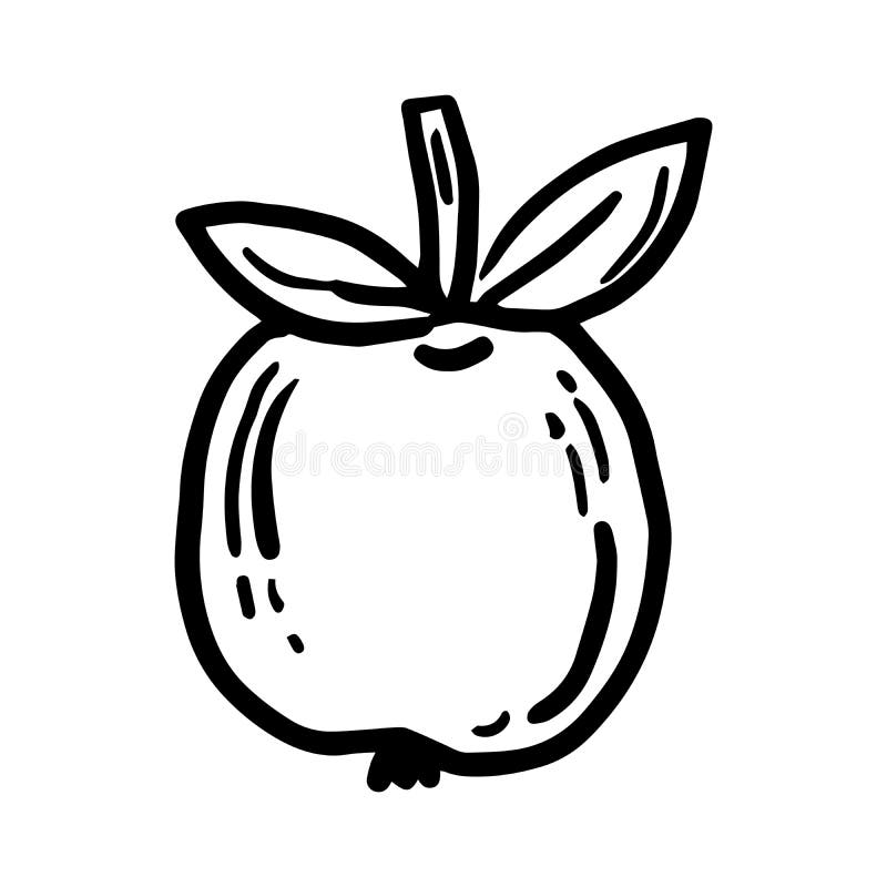 Apple Free Hand Vector Drawing. Vector Object of a Doodle Apple with a ...