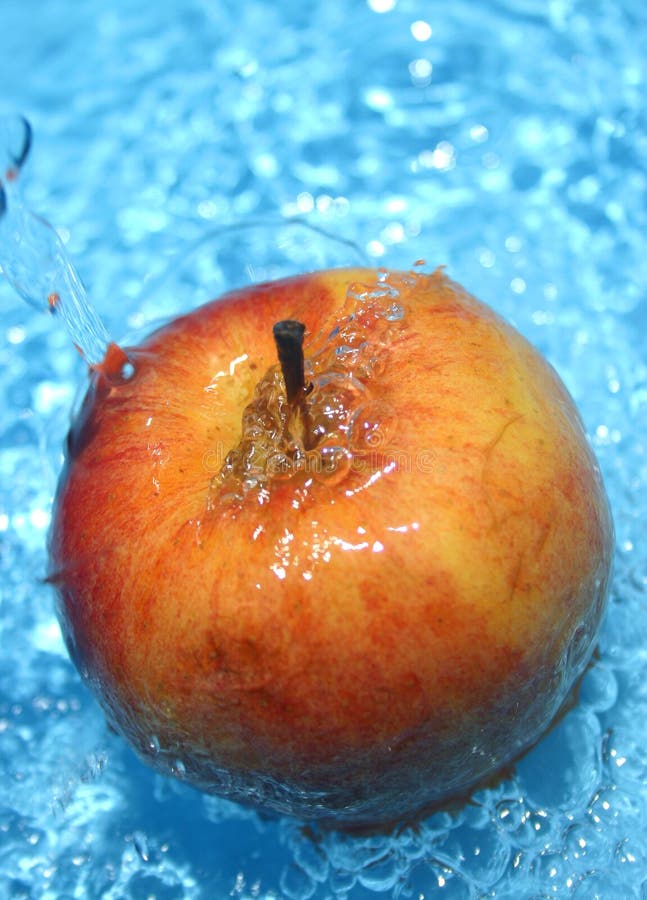 Fresh Fruit stock image. Image of appetising, freeze, delicious - 149873