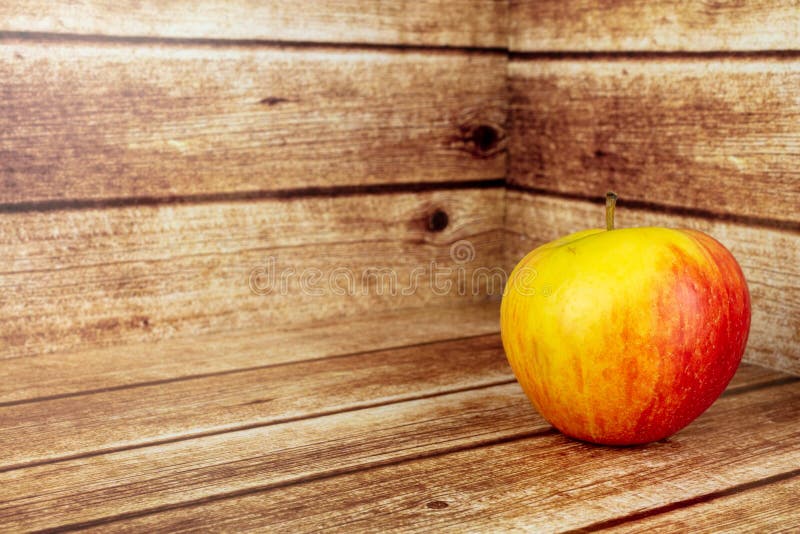 Apple fruit stock photo. Image of carving, gourd, plant - 266498268