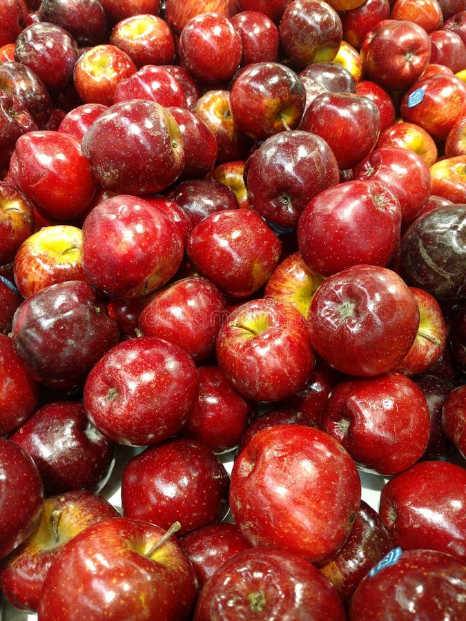 Apple stock photo. Image of world, trunk, delicious - 239904028