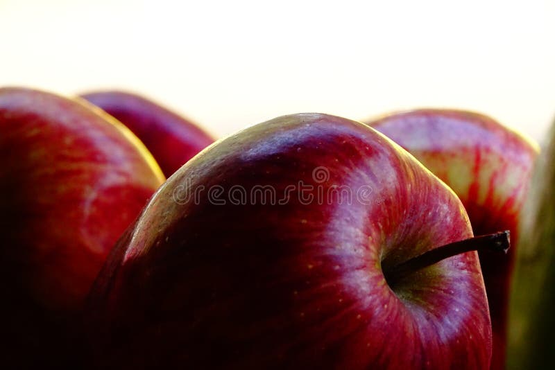 Apple Fruit stock image. Image of color, apple, portrait - 94878055
