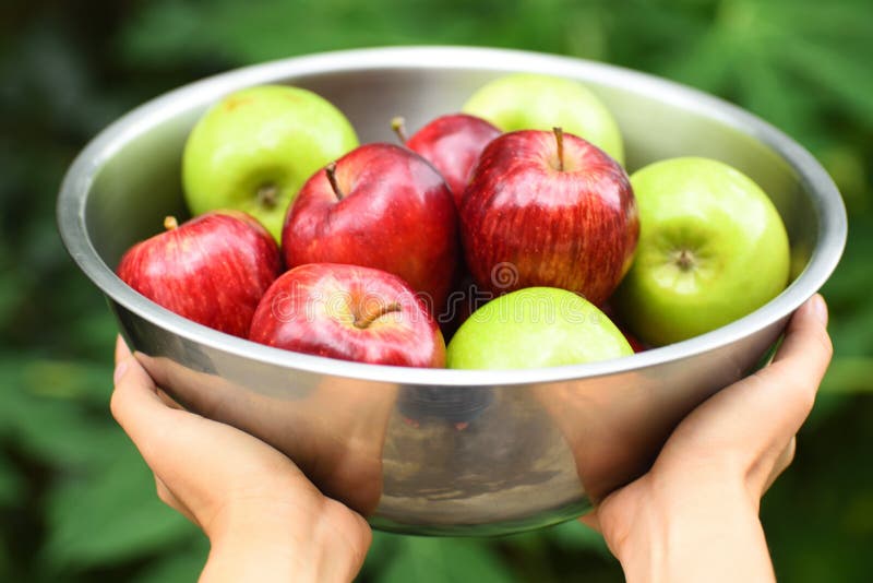 Apple fruit stock photo. Image of vegetarian, freshness - 82017582