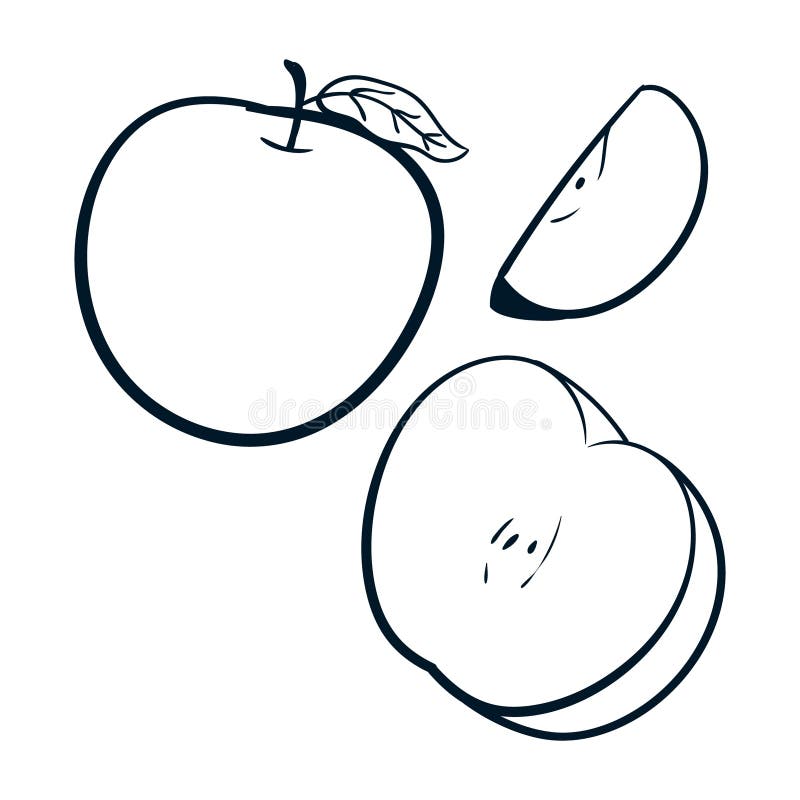 Fruit Drawing Set Vector Fruit Scribbles Doodle Icons. Fruit Vector ...