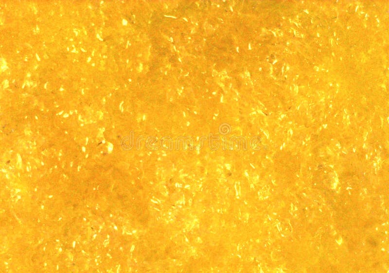 Apple, Fruit, Food. Image Under the Microscope, Micro Photography ...