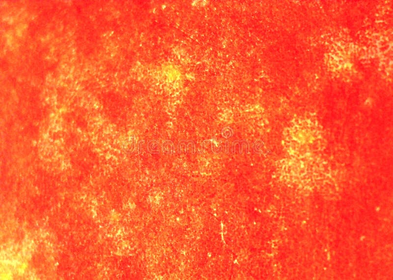 Apple, Fruit, Food. Image Under the Microscope, Micro Photography ...